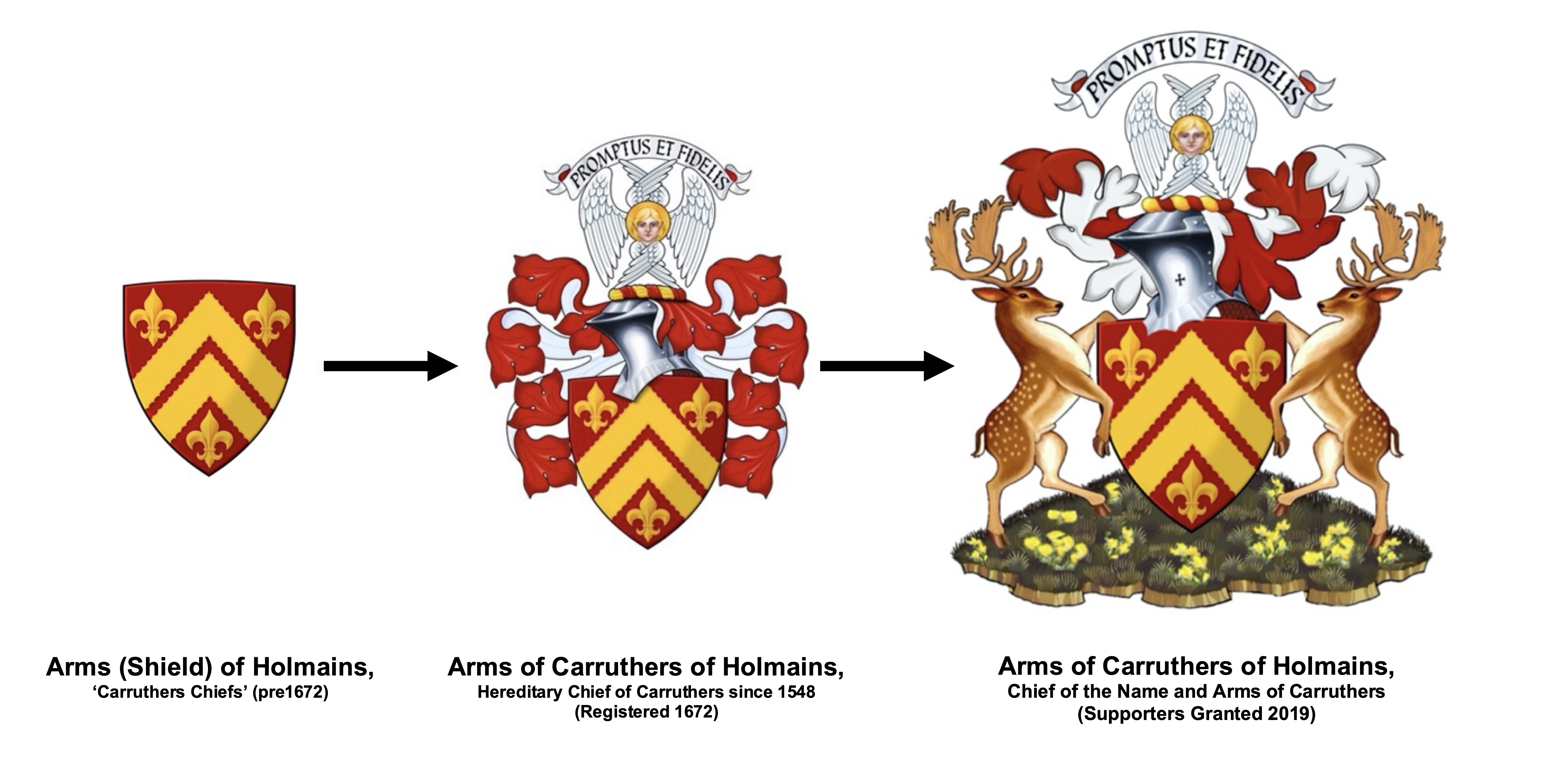 Coat Of Arms Supporters Bear